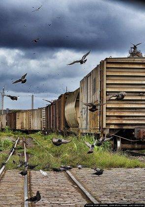 Fotos de Santos: homenagem de Darrel Champlin para a cidade | Juicy Santos